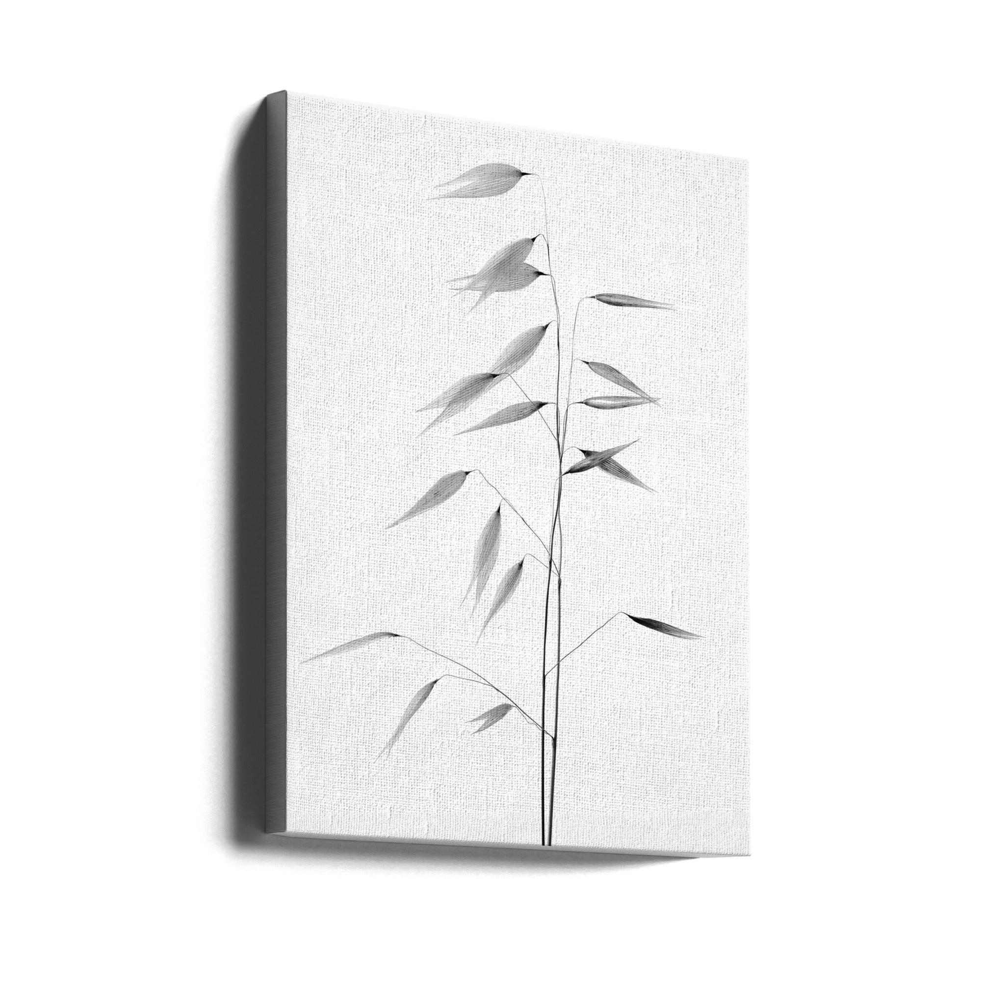 Wall art Sharpness of the nature